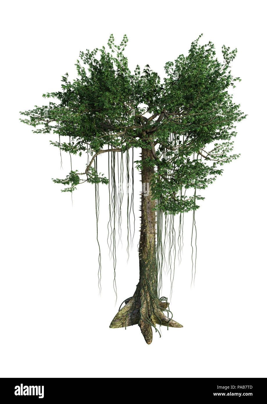 Kapok tree Cut Out Stock Images & Pictures - Alamy