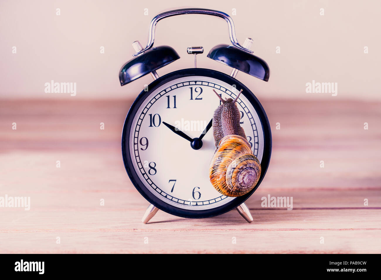 snail on an old and rusty alarm clock Stock Photo - Alamy