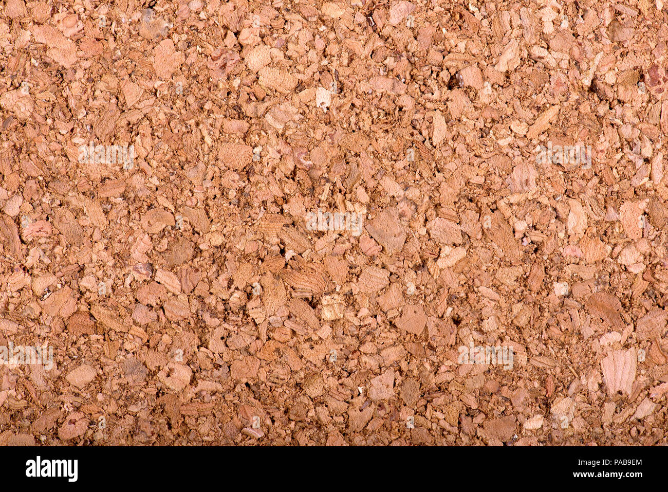 Natural pith a texture a background Stock Photo - Alamy