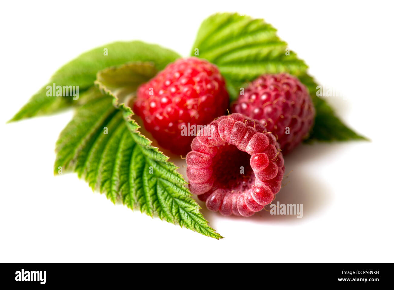 Ripe raspberry on the white background Stock Photo - Alamy