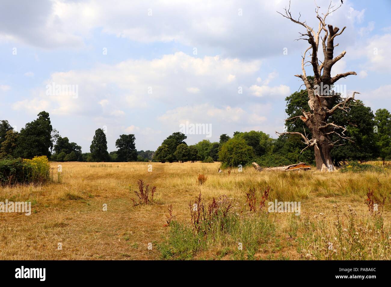 Langley castle hi-res stock photography and images - Alamy