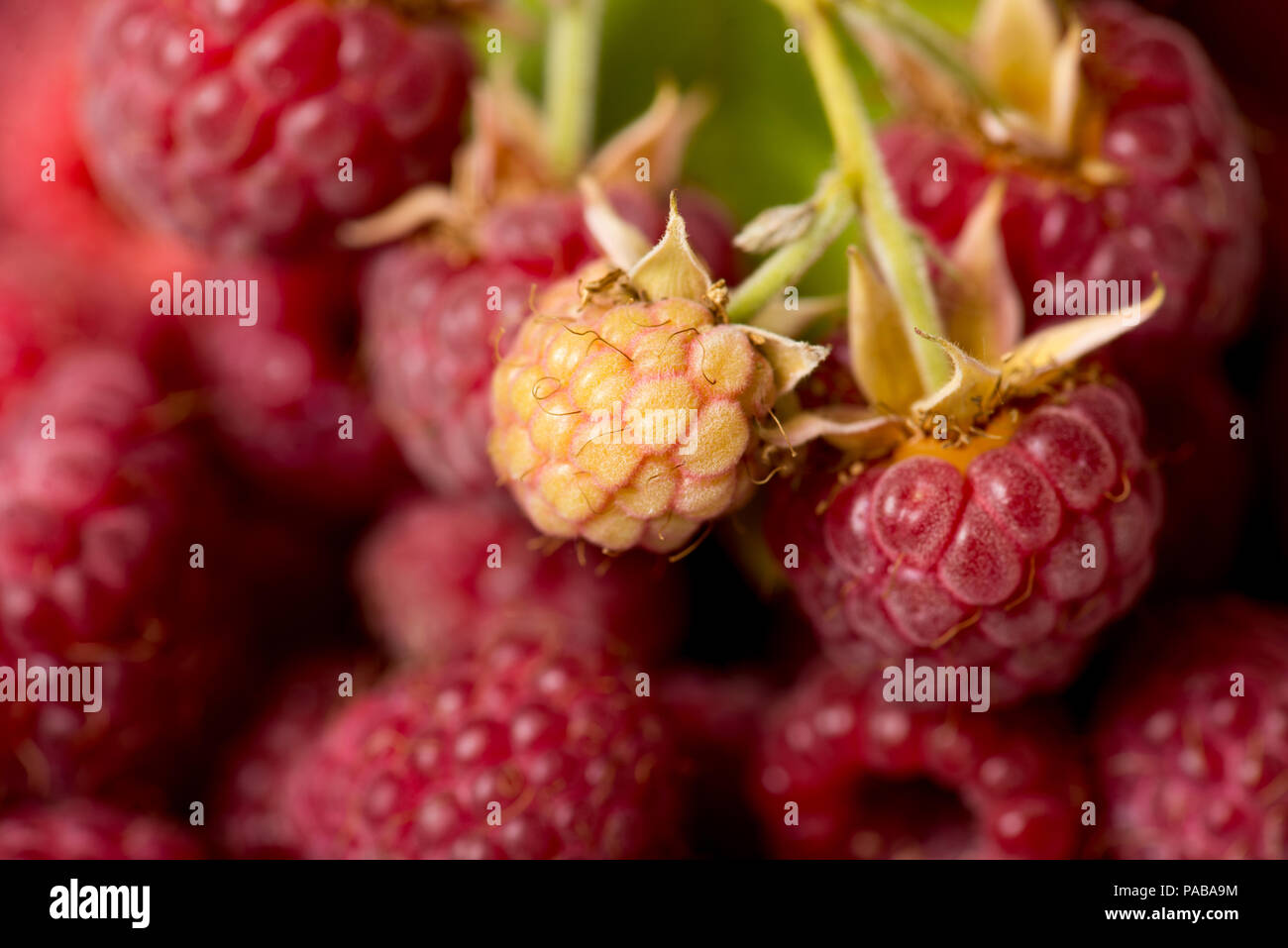 Raspberry fruit background Stock Photo - Alamy