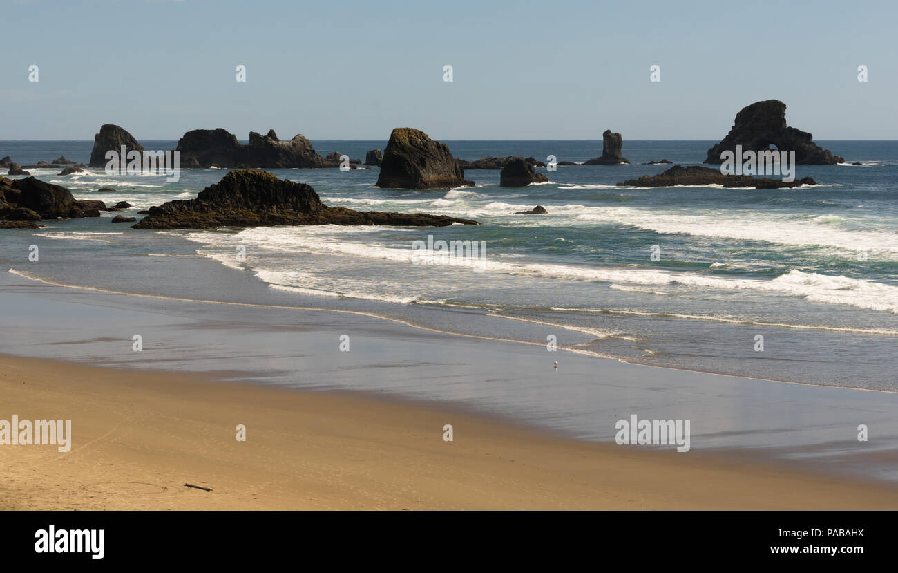 Dramatic ocean vistas are common on the Oregon Coast along scenic route ...
