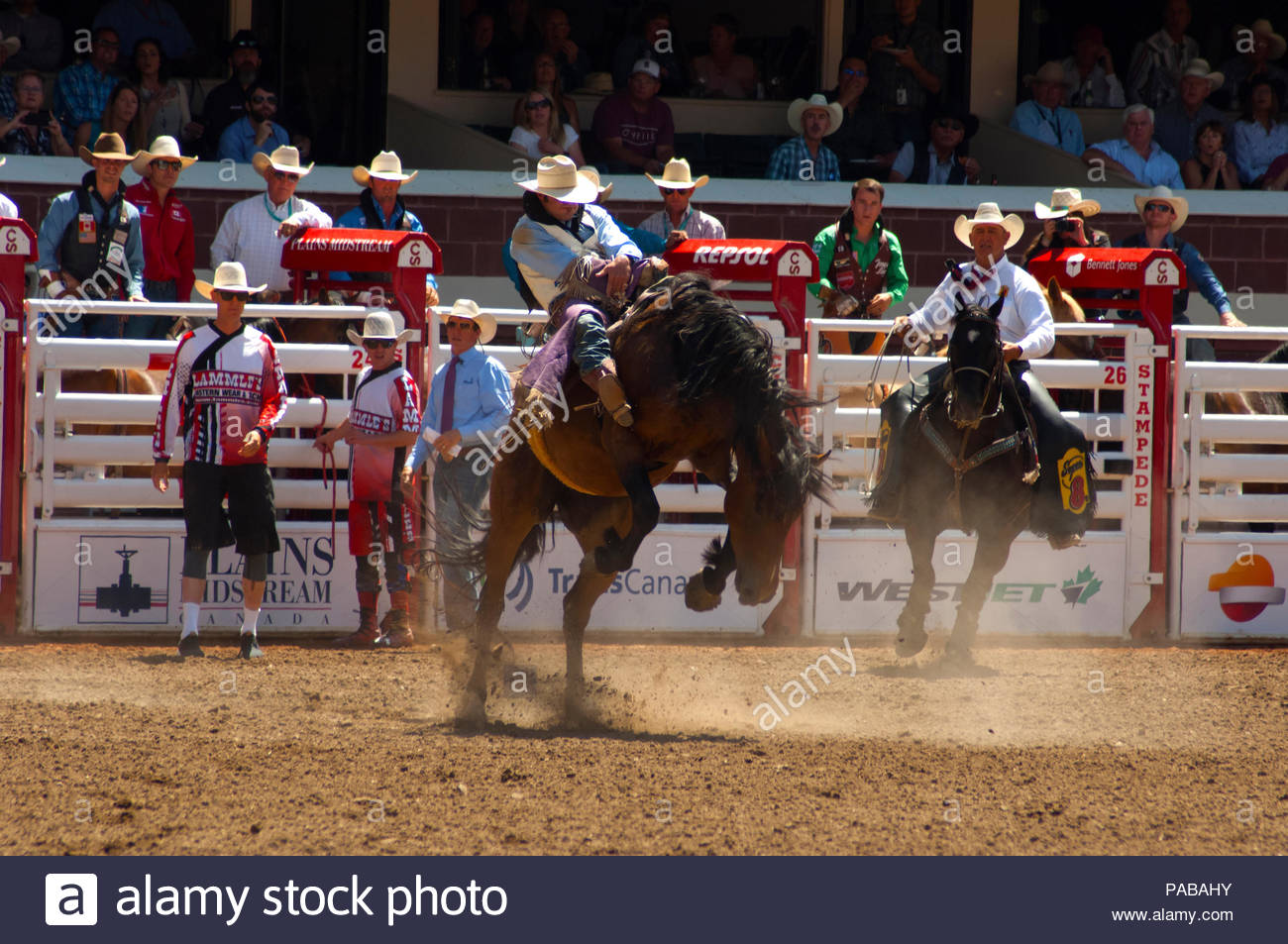 Stampede Corral Stock Photos & Stampede Corral Stock Images - Alamy