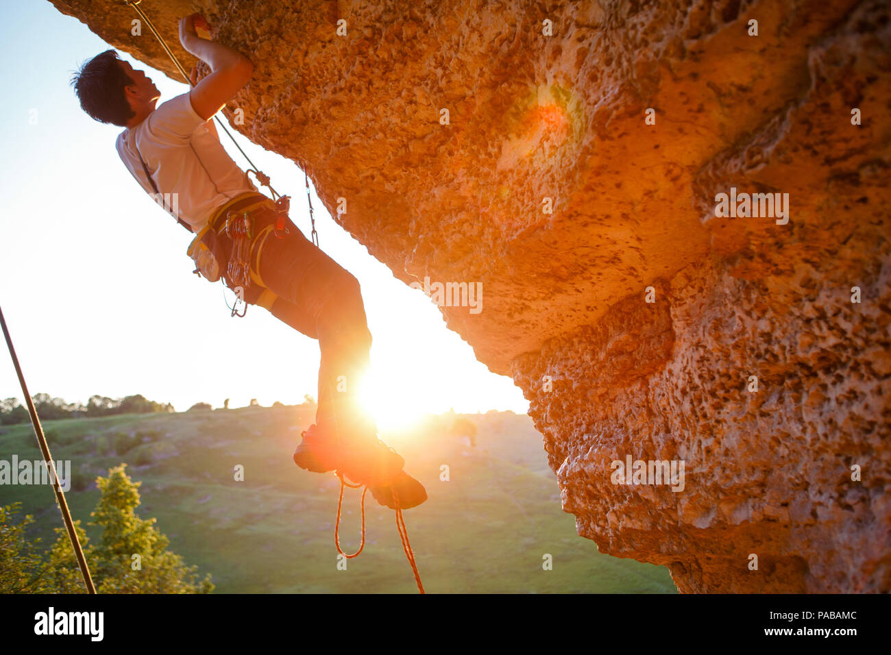 Plants for difficult area hi-res stock photography and images - Alamy