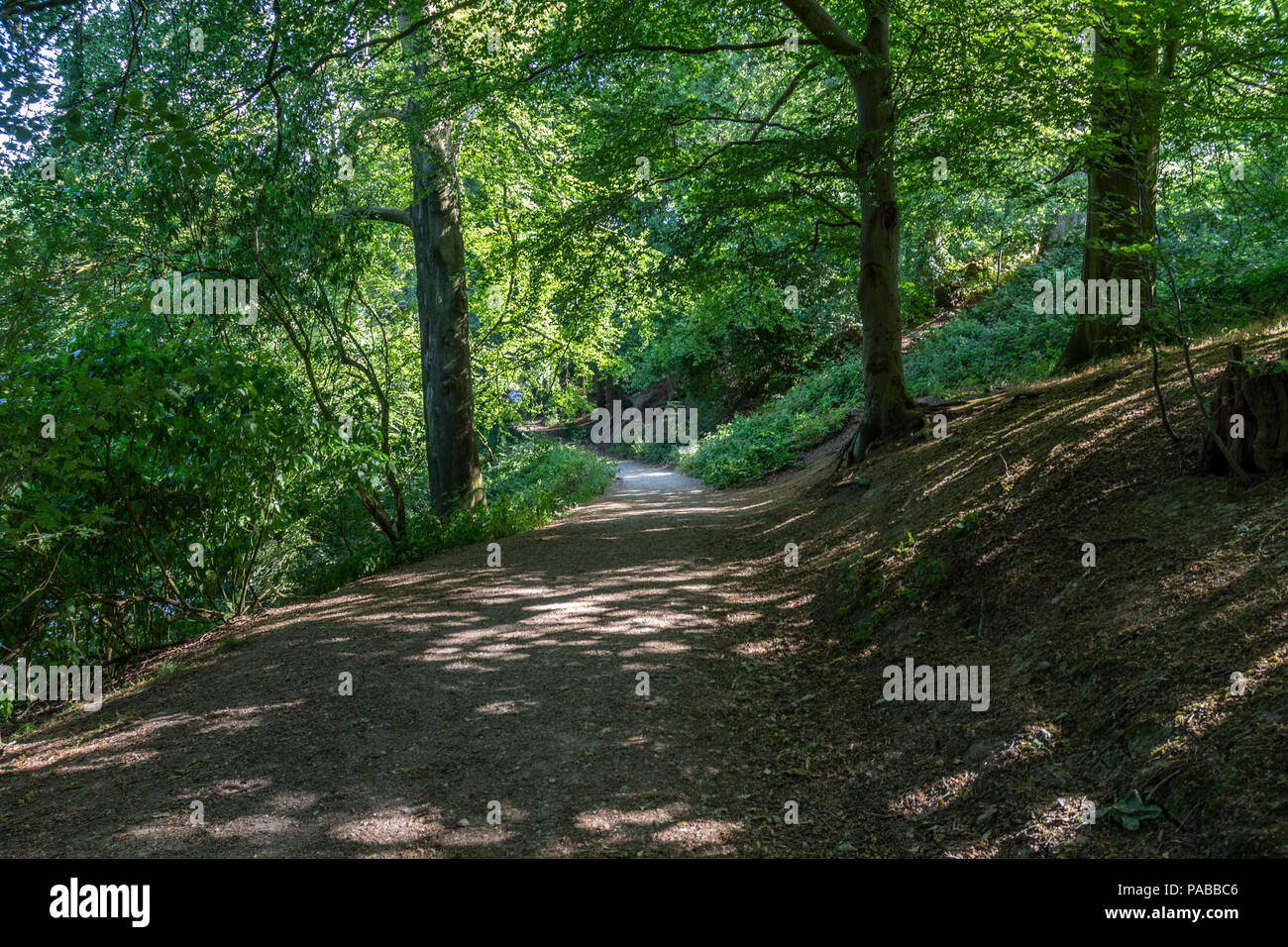 English Country Path Stock Photo - Alamy