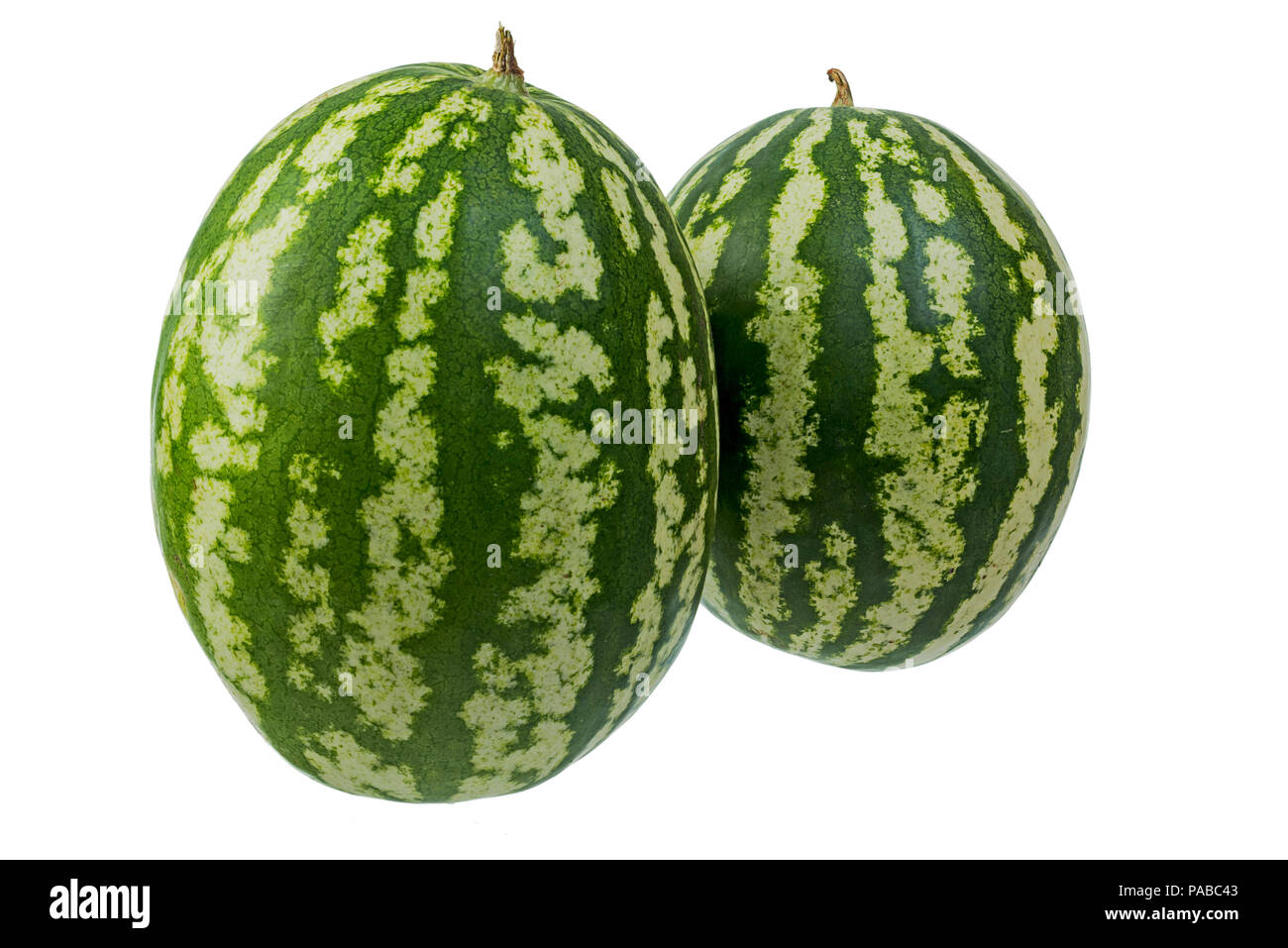 two large striped watermelon on white background Stock Photo - Alamy