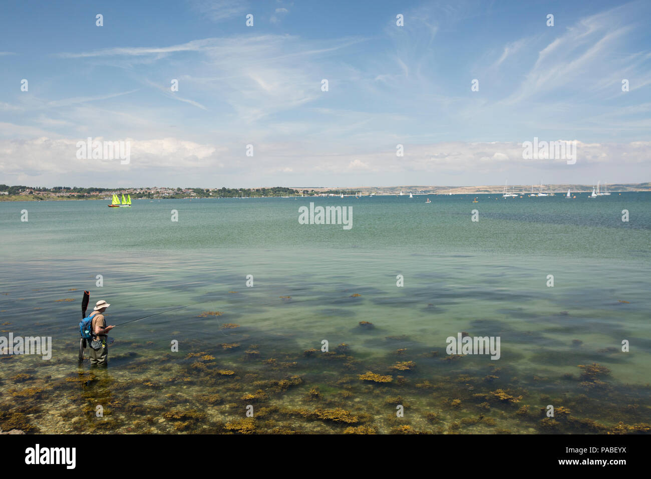 An angler saltwater flyfishing in Portland Harbour on a hot day during ...