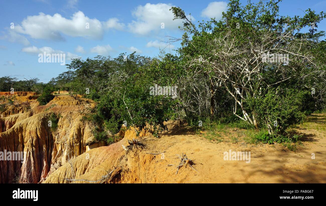 Hells Kitchen Canyon of Marafa in Keyna Stock Photo - Alamy