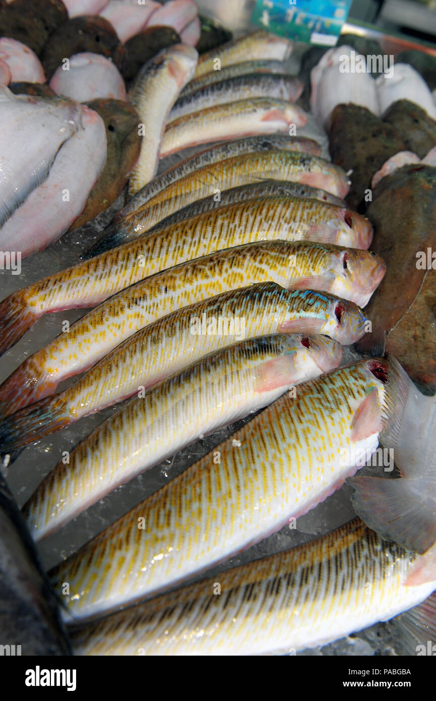 Fish on a market show-window Stock Photo - Alamy