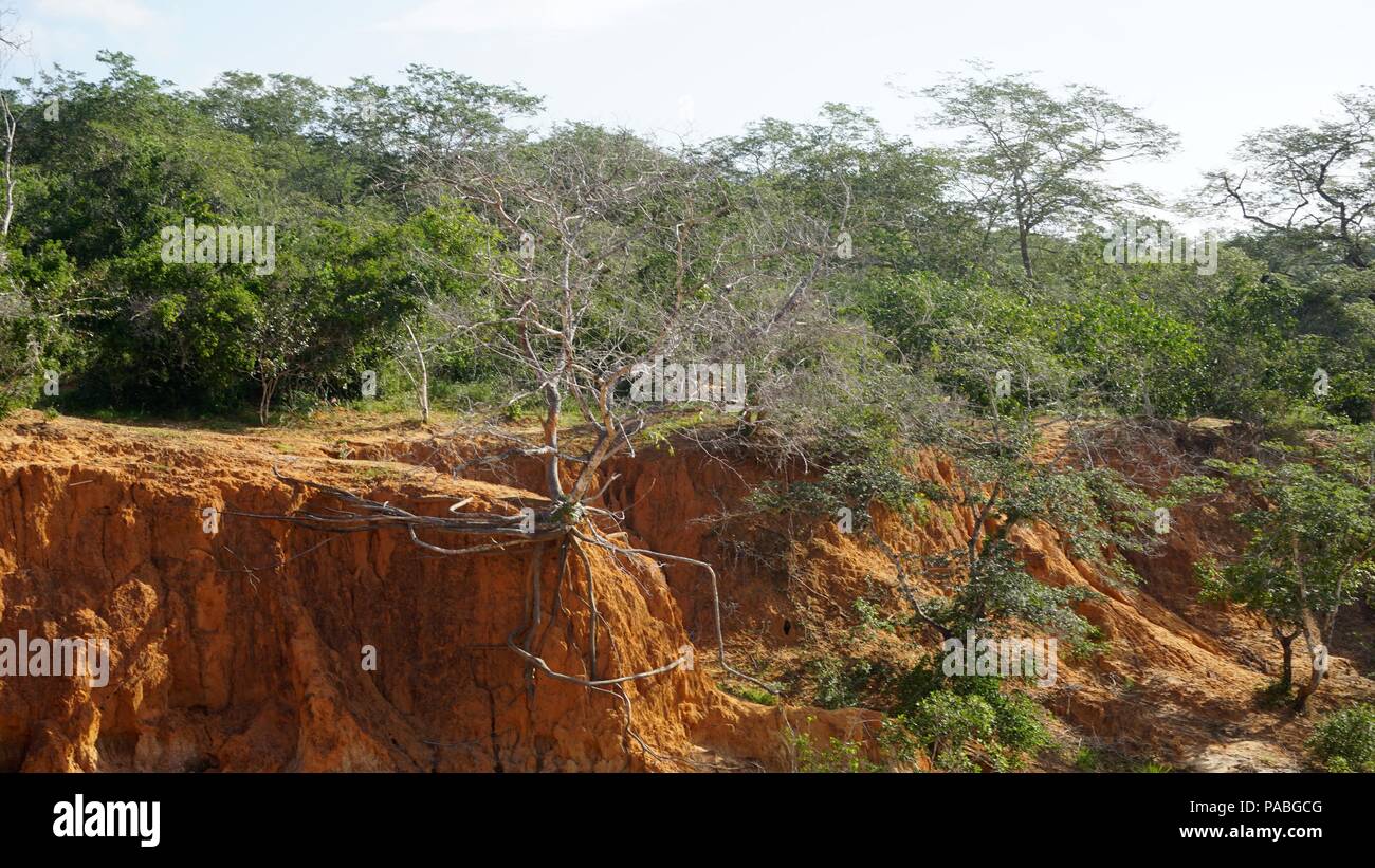 Hells Kitchen Canyon of Marafa in Keyna Stock Photo - Alamy