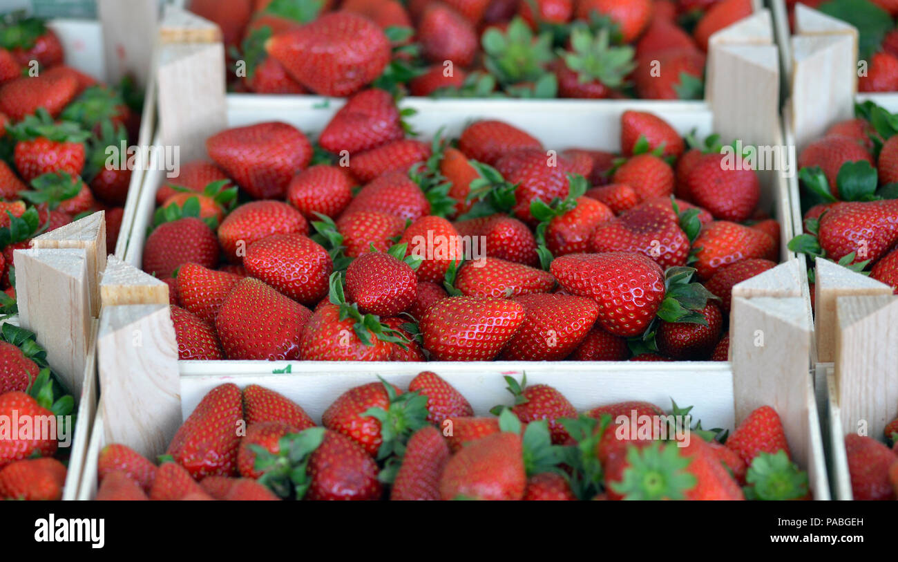 Strawberries in a box on the counter Stock Photo - Alamy