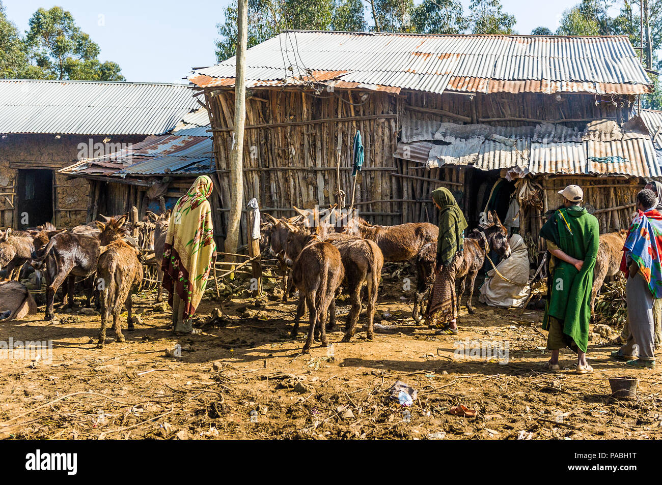 Expression of the life in cameroon hi-res stock photography and images ...