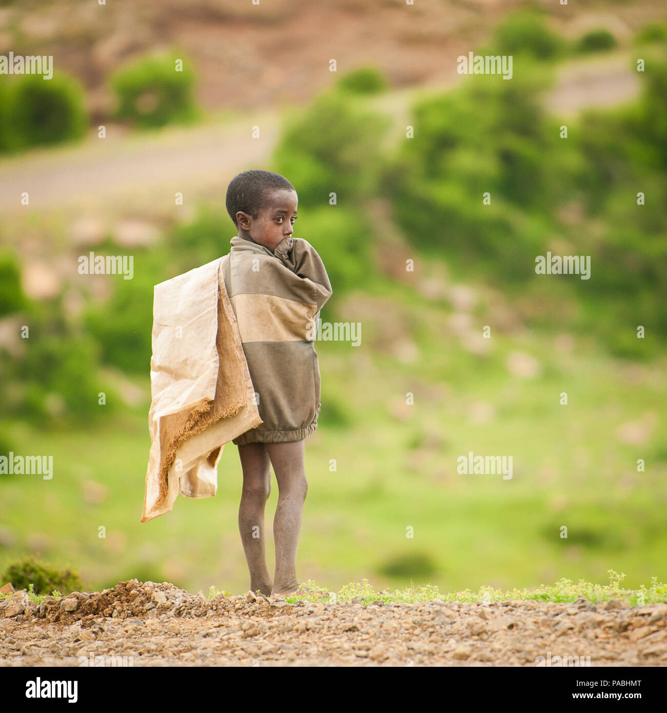 AKSUM, ETHIOPIA - SEPTEMBER 22, 2011: Unidentified Ethiopian boy walks ...