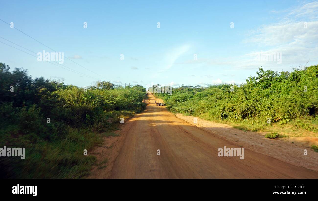 Tsavo national park construction hi-res stock photography and images ...