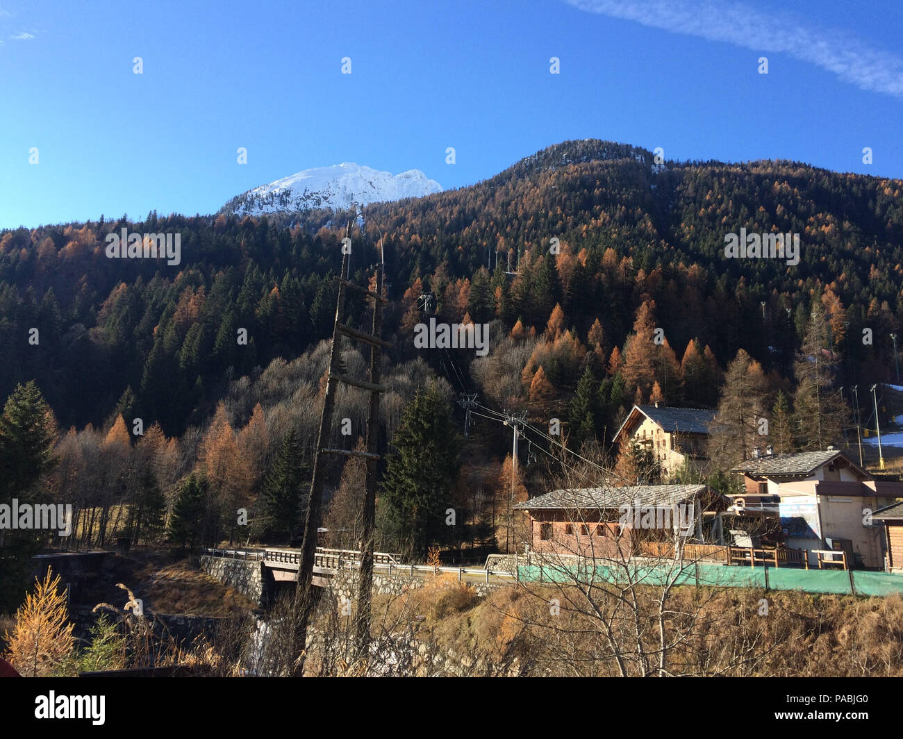 Beautiful view of the forests in autumn in the Gressoney Valley ...