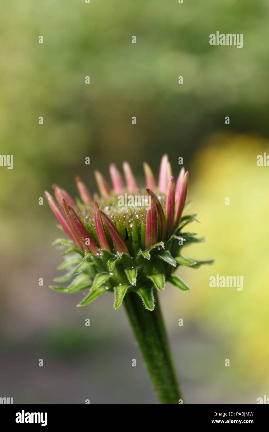 The colors of natures hi-res stock photography and images - Alamy