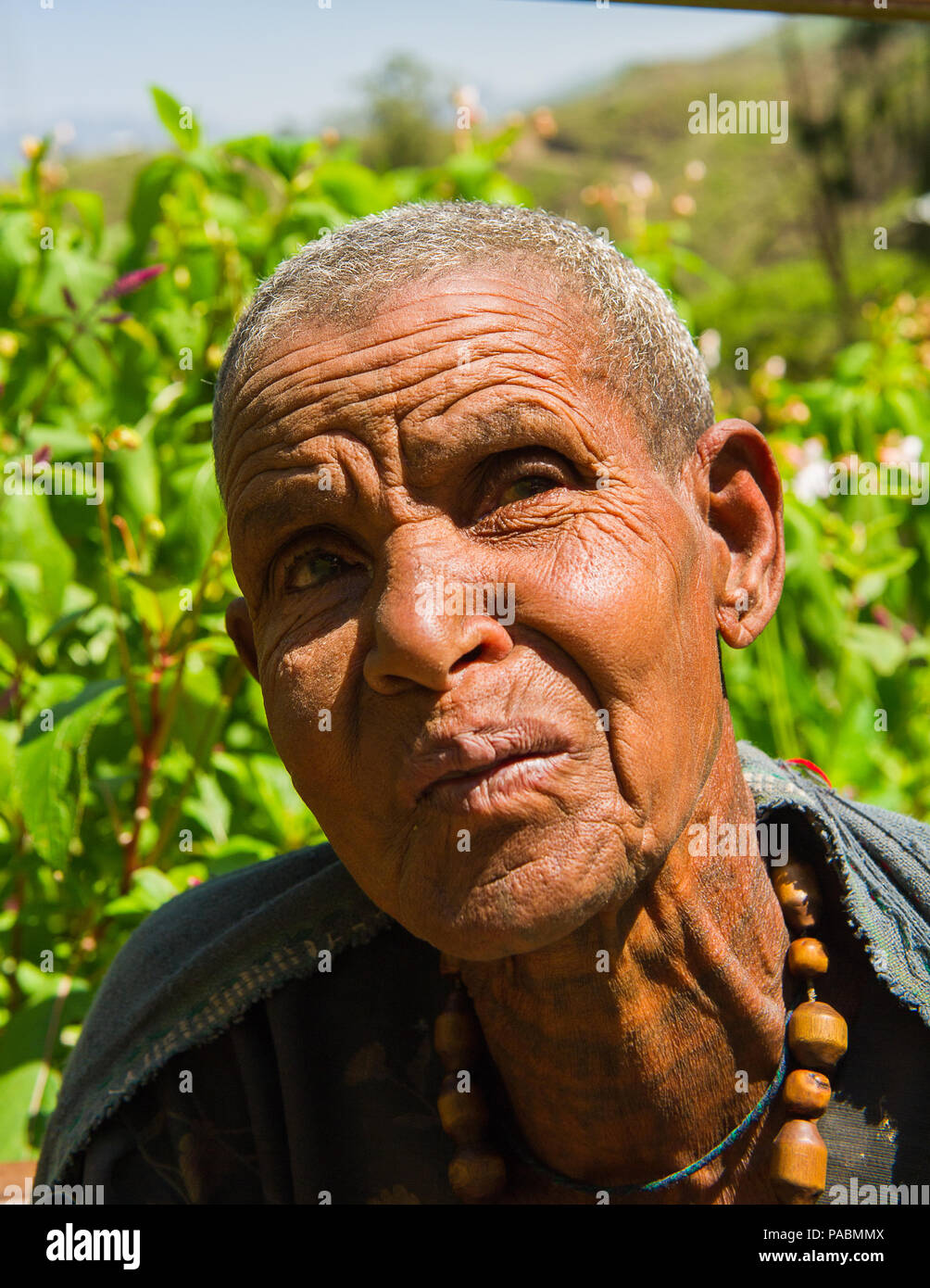 Aksum ivory hi-res stock photography and images - Alamy