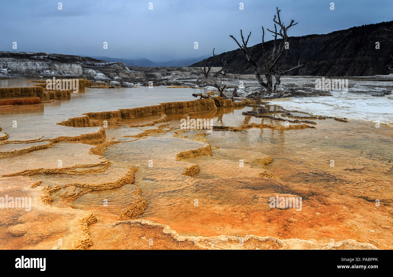 Yellowstone hot springs terraces hi-res stock photography and images ...