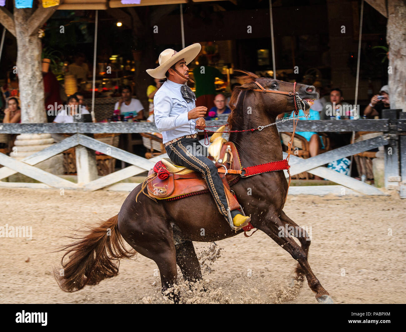 MEXICO CITY, MEXICO - DEC 29, 2011: Unidentified Mexican man rides on a ...
