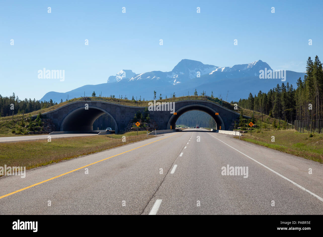 Animal crossing bridge hi-res stock photography and images - Alamy