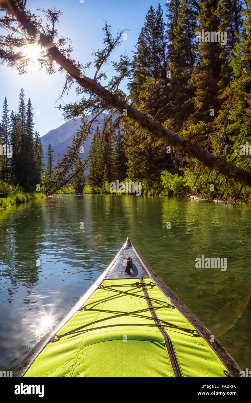 Kayaking in a beautiful lake surrounded by the Canadian Nature ...
