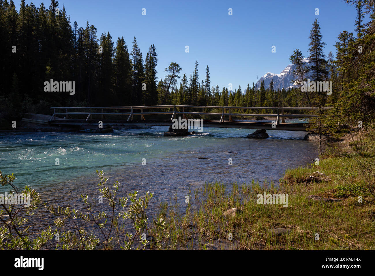 River flowing through the Canadian Rockies during a sunny summer day ...