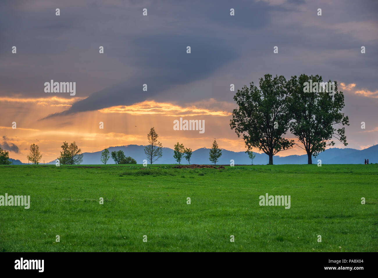National park slovak paradise hi-res stock photography and images - Alamy