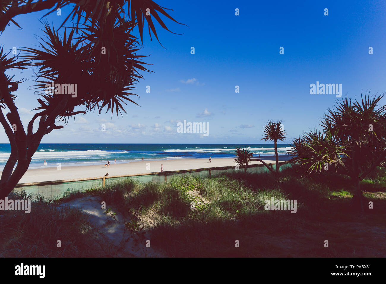 GOLD COAST, AUSTRALIA - January 6th, 2015: beach and greenery view from ...