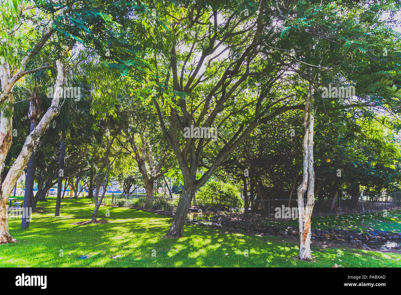GOLD COAST, AUSTRALIA - January 7th, 2015: detail view of the Les ...