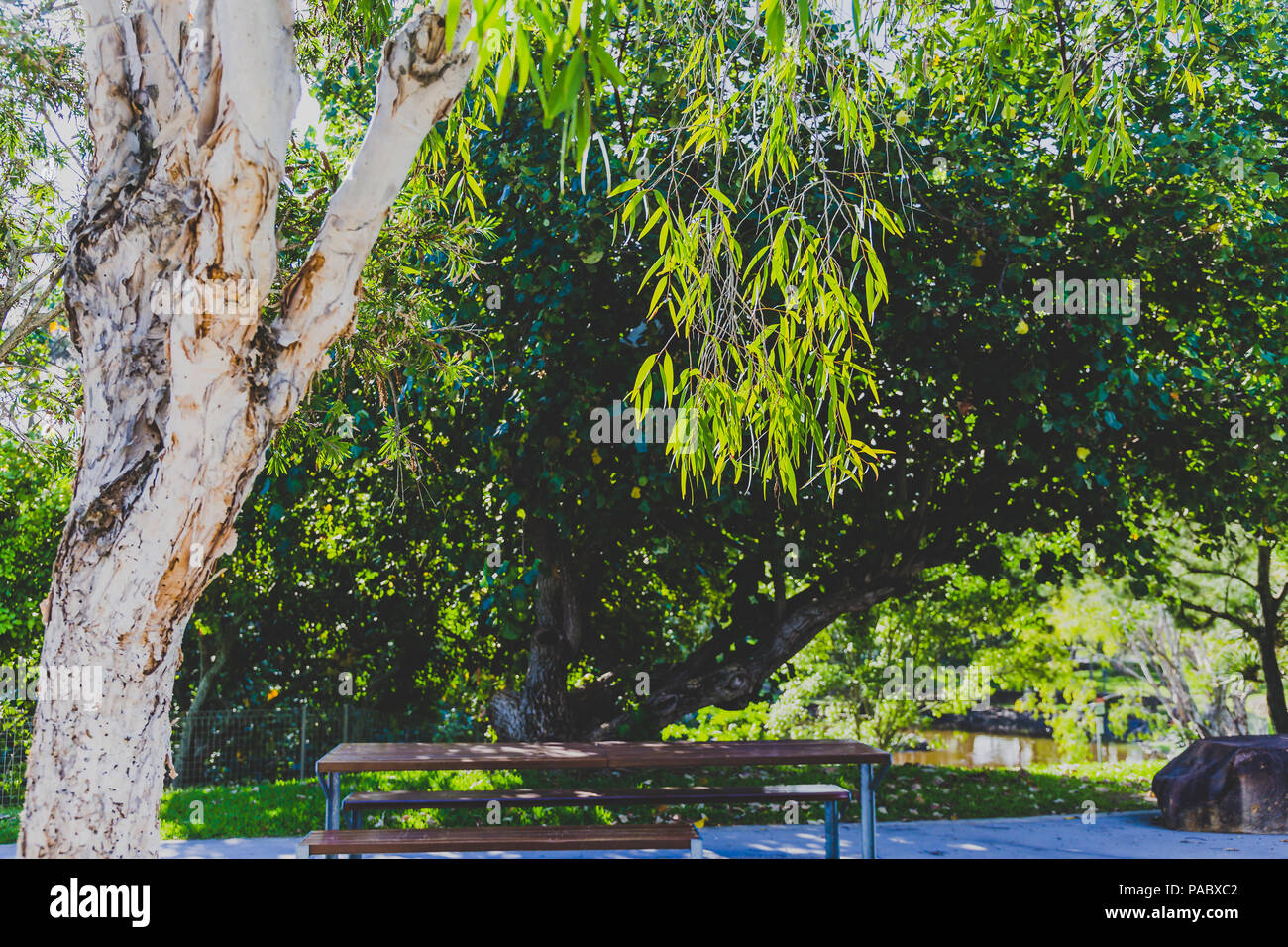 GOLD COAST, AUSTRALIA - January 7th, 2015: detail view of the Les ...