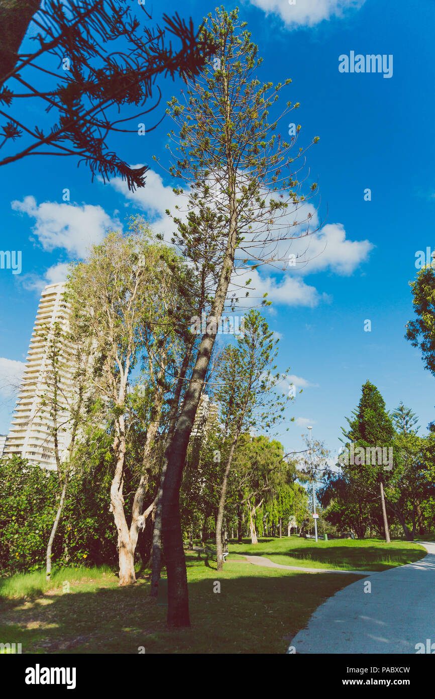 Les rodgers hi-res stock photography and images - Alamy