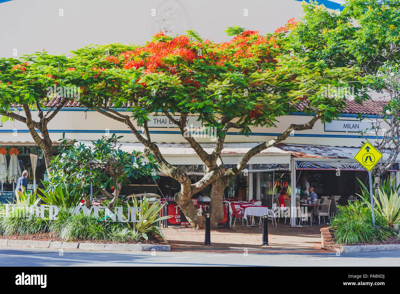 Tedder Avenue High Resolution Stock Photography and Images - Alamy