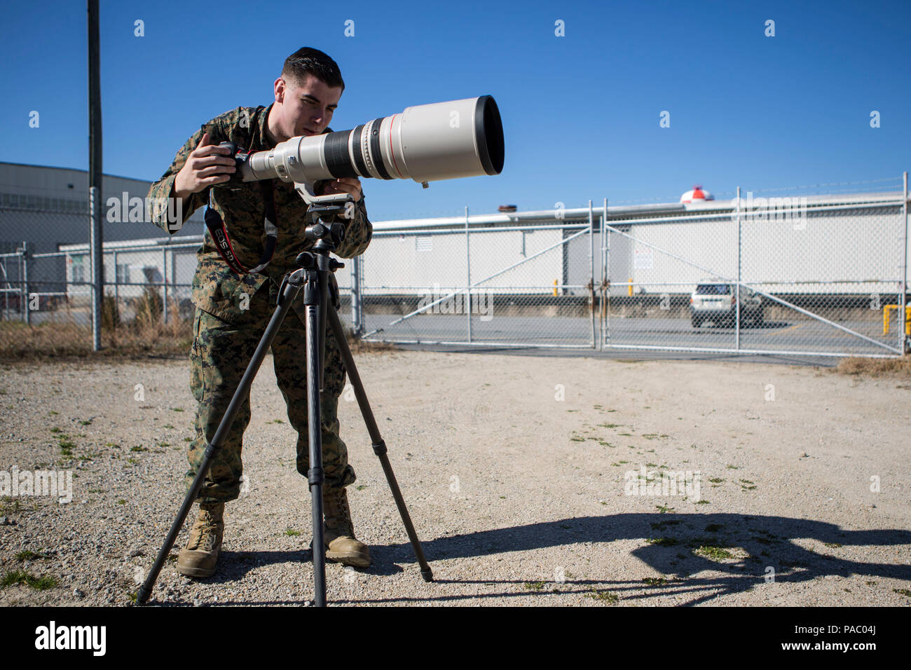 Canon 600mm lens hi-res stock photography and images - Alamy