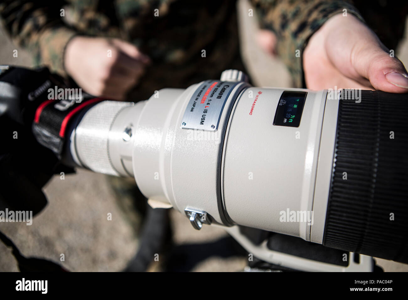 Canon 600mm lens hi-res stock photography and images - Alamy