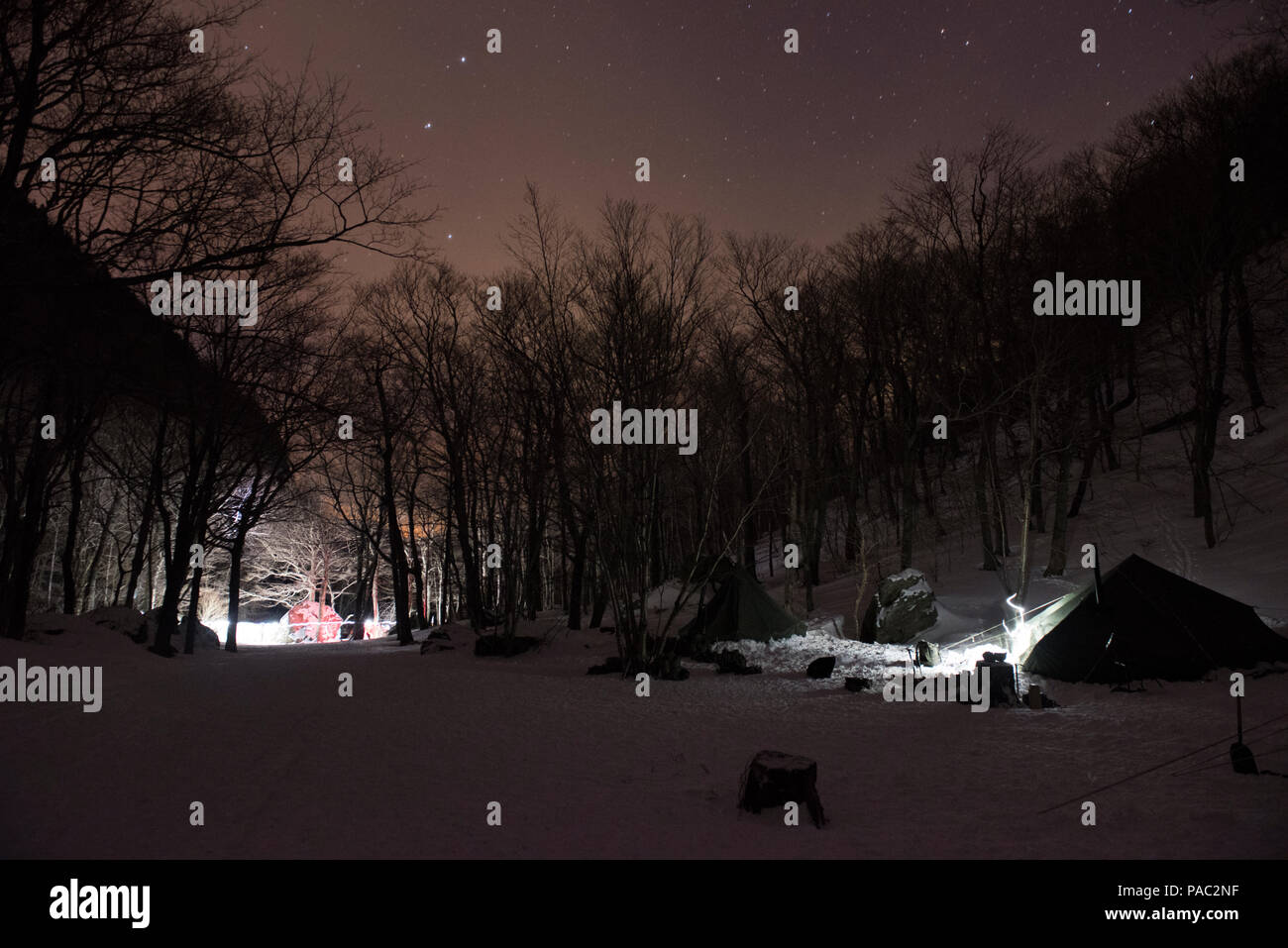 U.S. Army Soldiers with Alpha Company, 3rd Battalion, 172nd Infantry ...