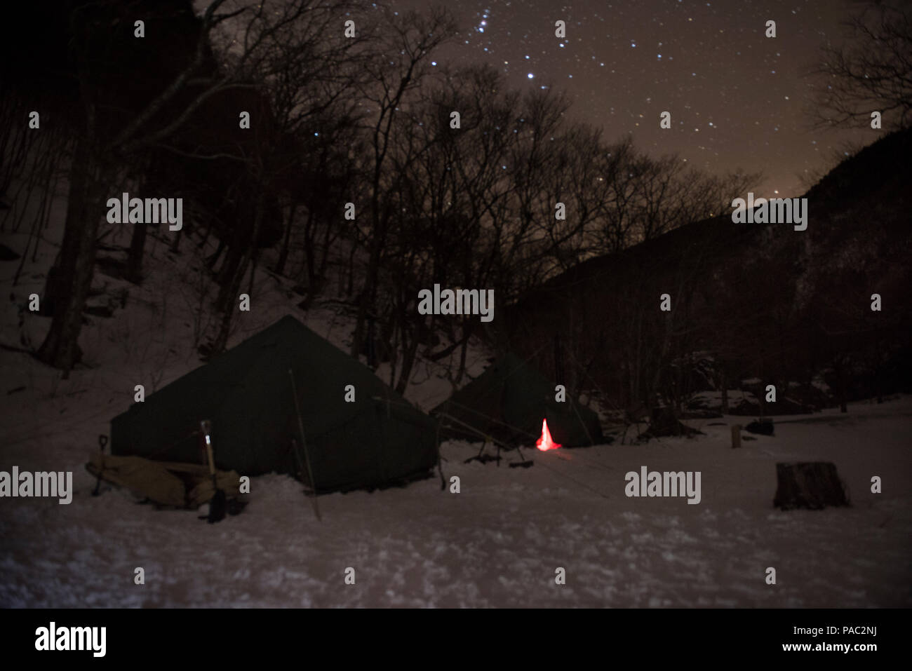U.S. Army Soldiers with Alpha Company, 3rd Battalion, 172nd Infantry ...