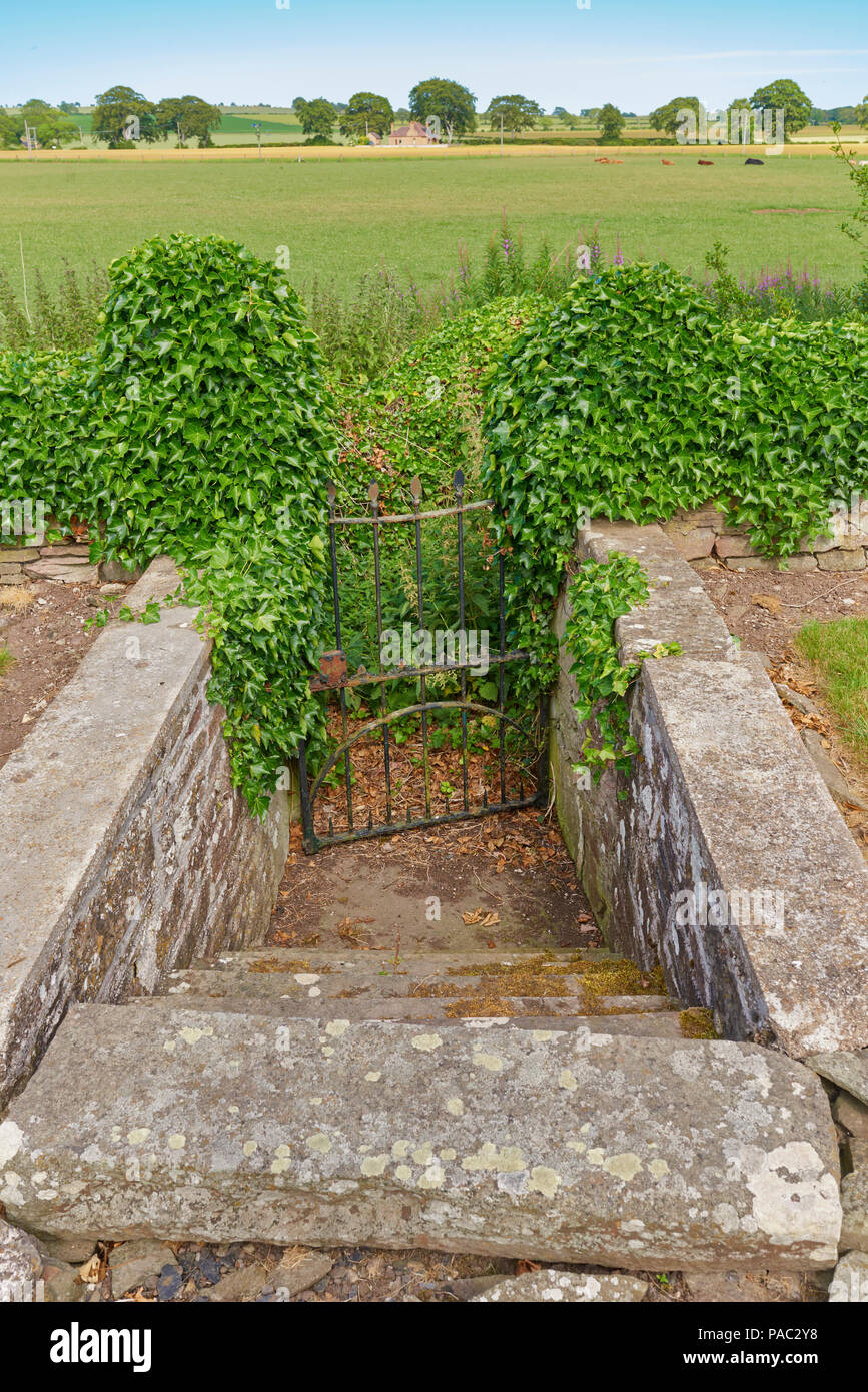 Hidden Steps leading from the Graveyard at Kinnell Church to an old ...