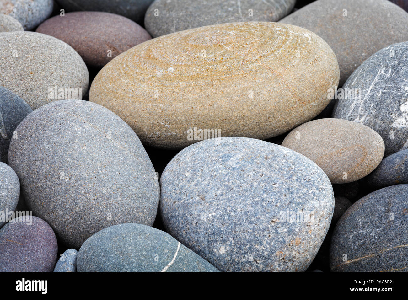 Abstract smooth round pebbles sea texture background Stock Photo - Alamy