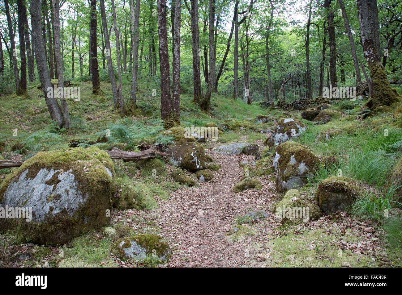 Newston hi-res stock photography and images - Alamy