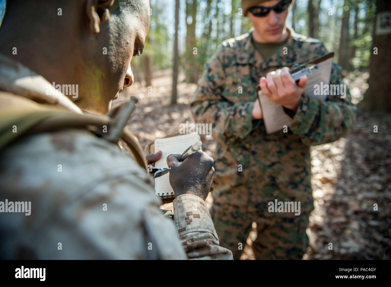 Rifle platoon field exercise hi-res stock photography and images - Alamy