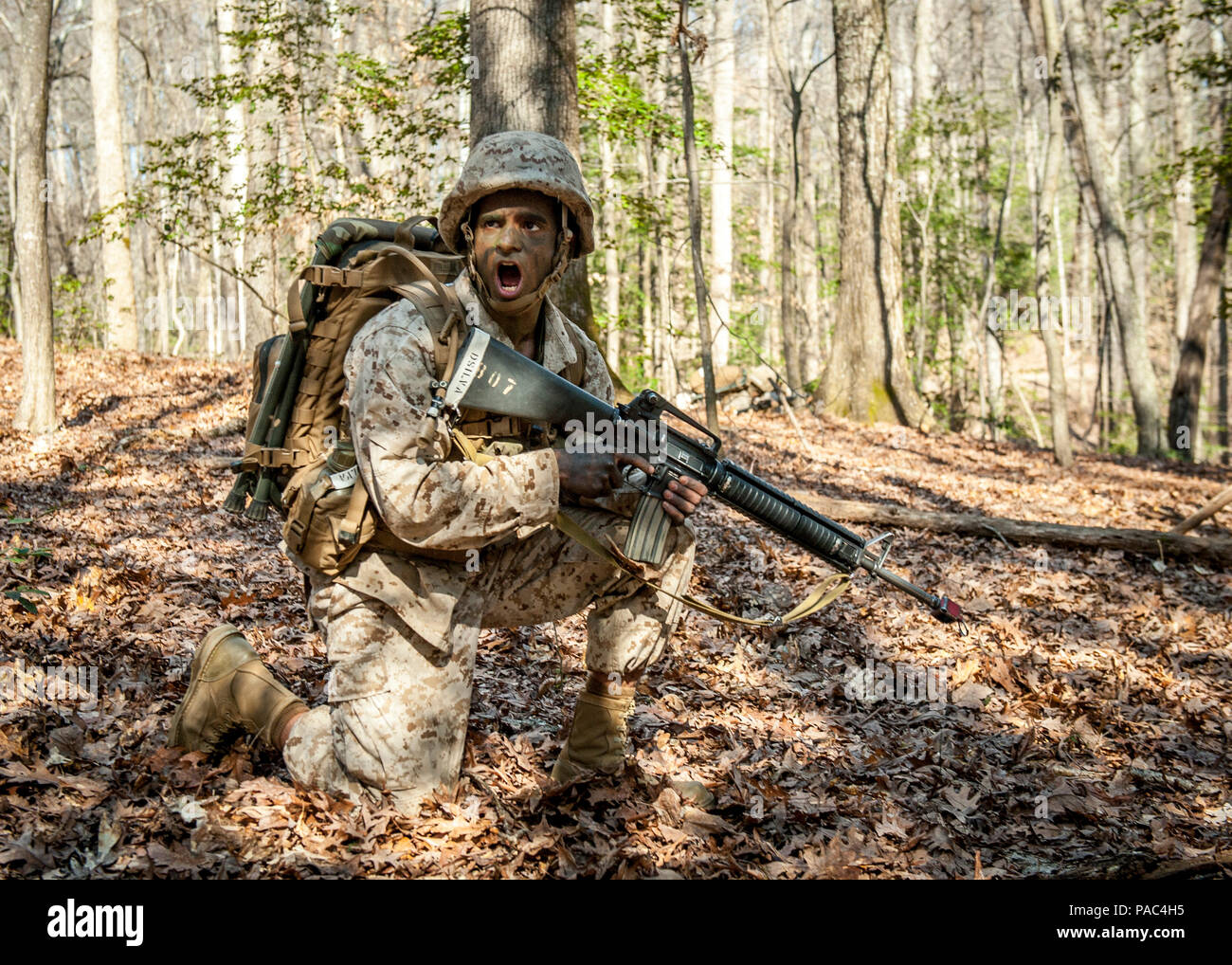 Rifle platoon field exercise hi-res stock photography and images - Alamy