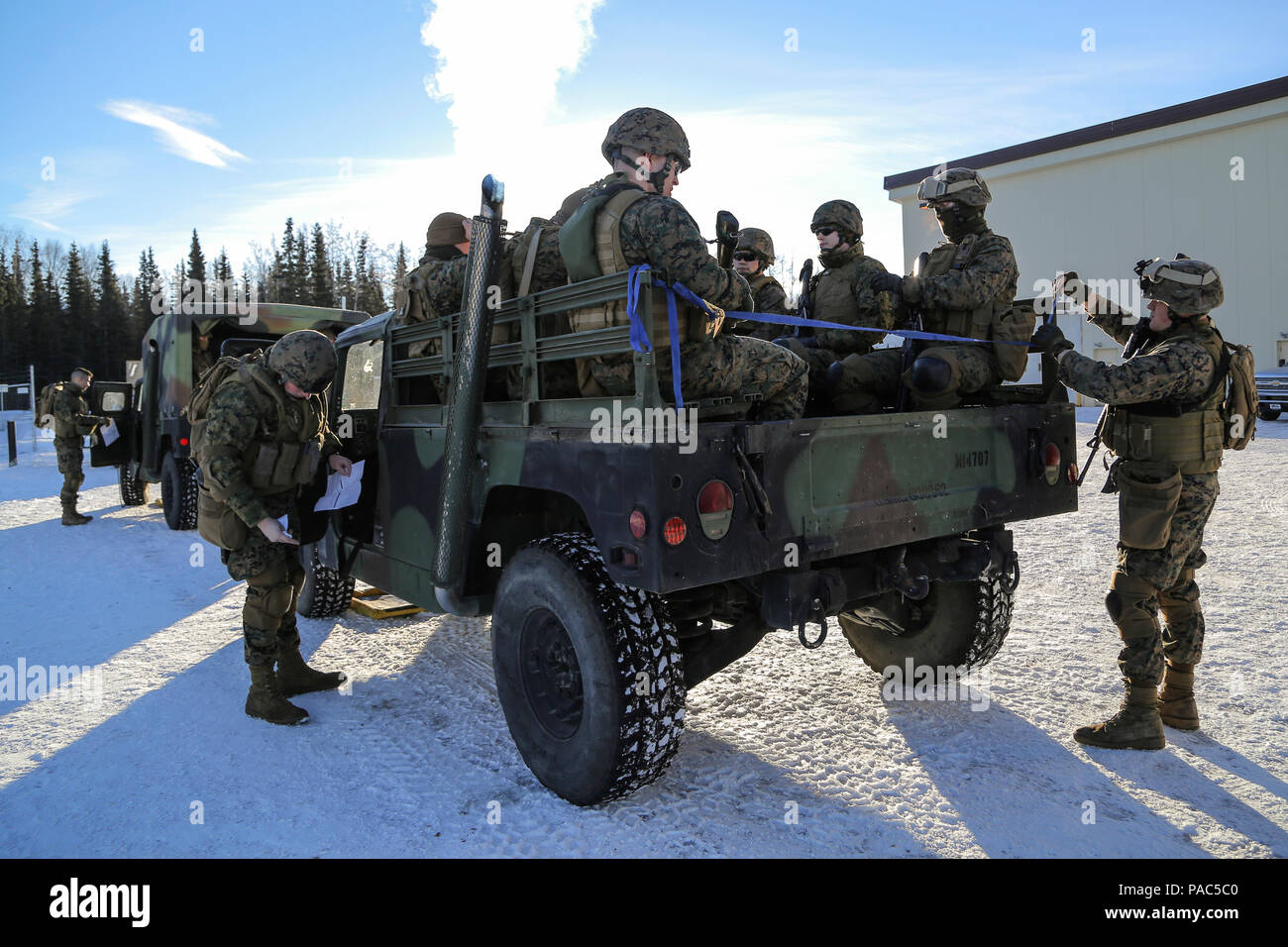 U.S. Marines assigned to Detachment Military Police Company D, 4th Law ...