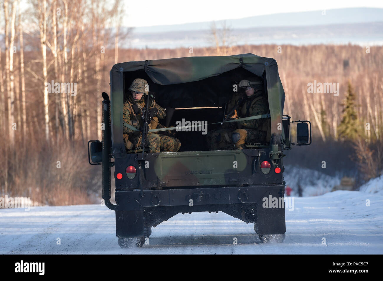 U.S. Marines assigned to Detachment Military Police Company D, 4th Law ...