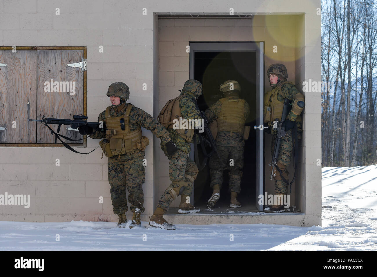U.S. Marines assigned to Detachment Military Police Company D, 4th Law ...