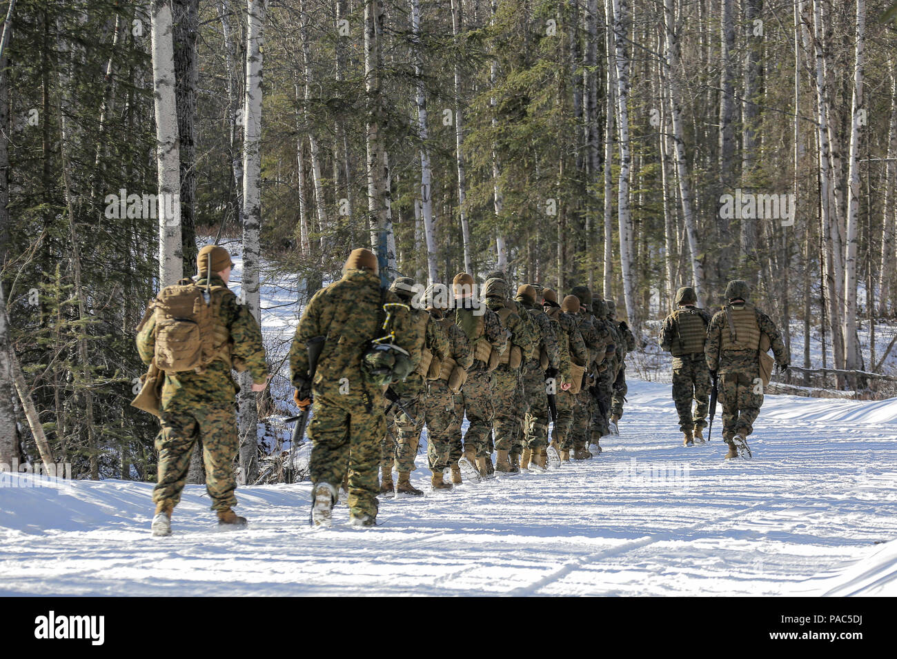 After finishing their training, U.S. Marines assigned to Detachment ...