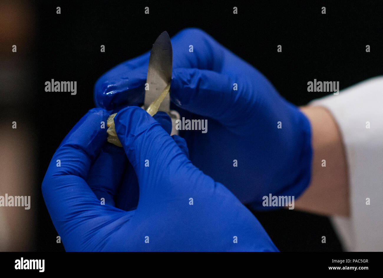 Sgt joshua barnhill hi-res stock photography and images - Alamy