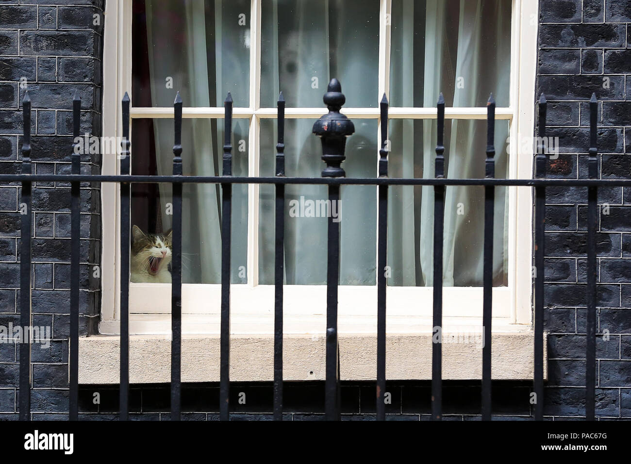 Number 10 downing street inside hi-res stock photography and images - Alamy