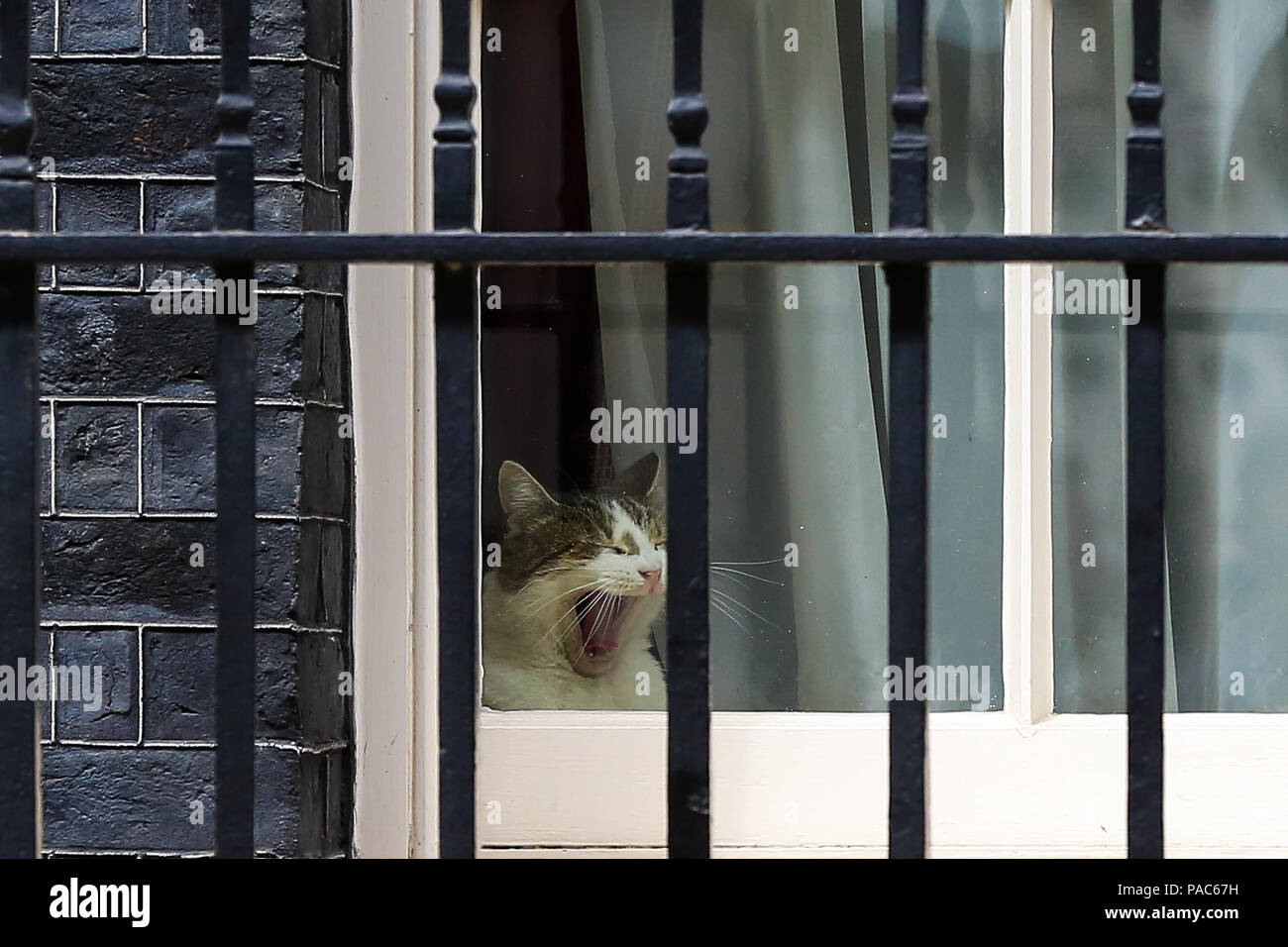 Number 10 downing street inside hi-res stock photography and images - Alamy