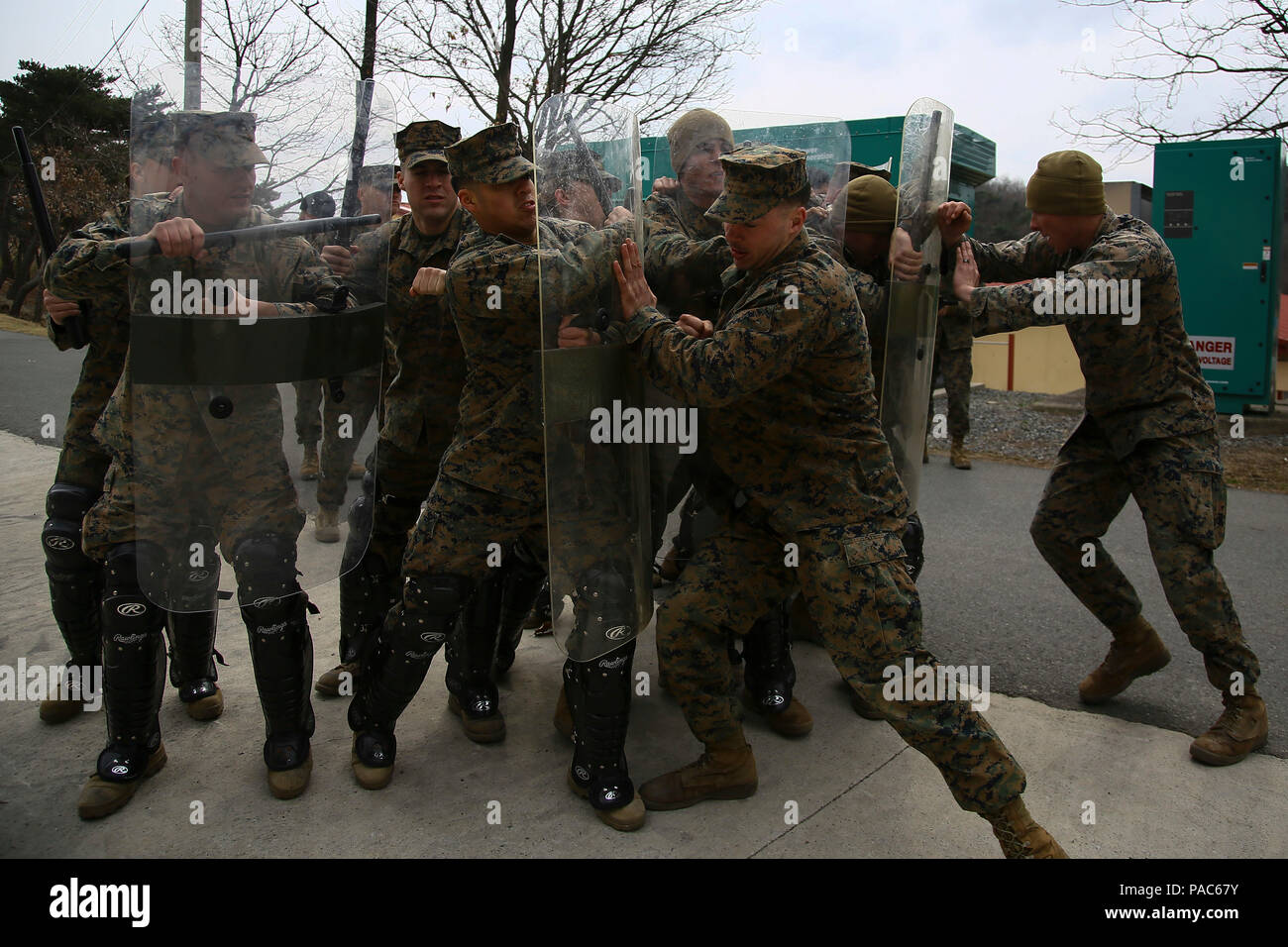 U.S. Marines with 3d Law Enforcement Battalion demonstrate riot control ...